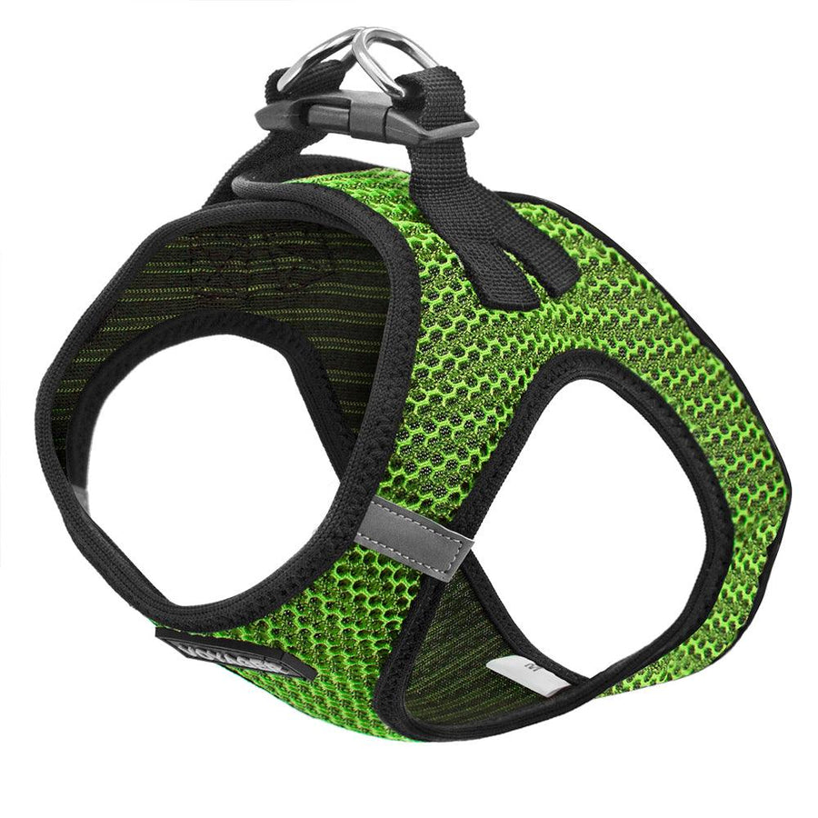 Step-In Air Pet Harness: An Essential Everyday Harness | Voyage